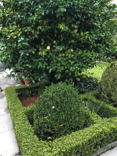 Inspiring Garden Design: Rooms with a View | Private Newport