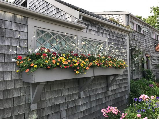 Window Boxes of Nantucket | Private Newport