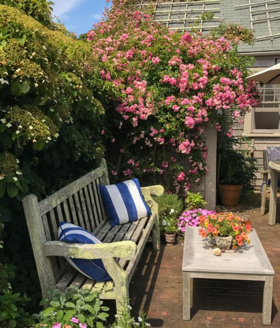 People, Places & Privileged Precincts Part 2 | Private Newport