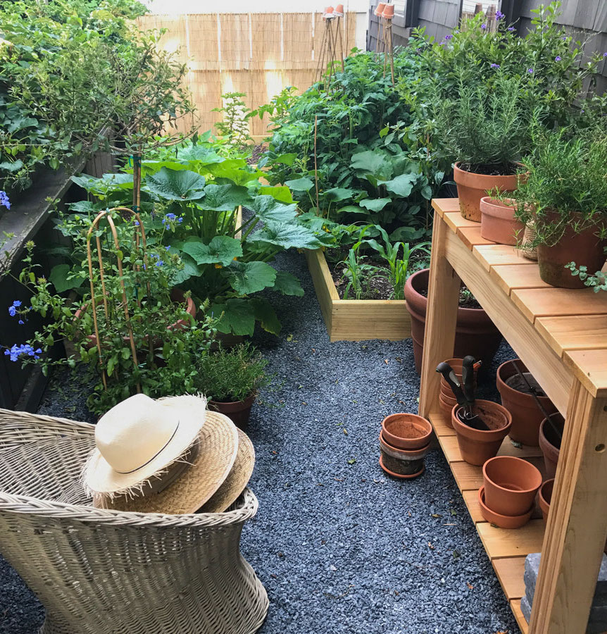 The Making of a Mini Vegetable Garden | Private Newport