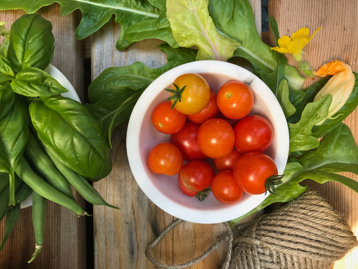 The Making of a Mini Vegetable Garden | Private Newport