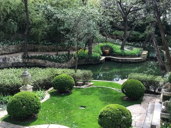 Inspiring Garden Design: A Daffodil Landscape in Dallas | Private Newport
