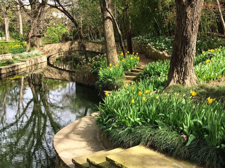 Inspiring Garden Design: A Daffodil Landscape in Dallas | Private Newport