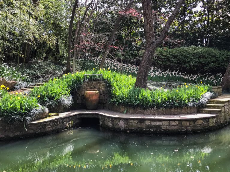 Inspiring Garden Design: A Daffodil Landscape in Dallas | Private Newport