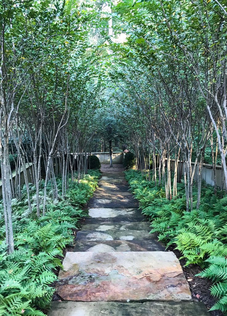 Three Perspectives on Woodland Gardening | Private Newport