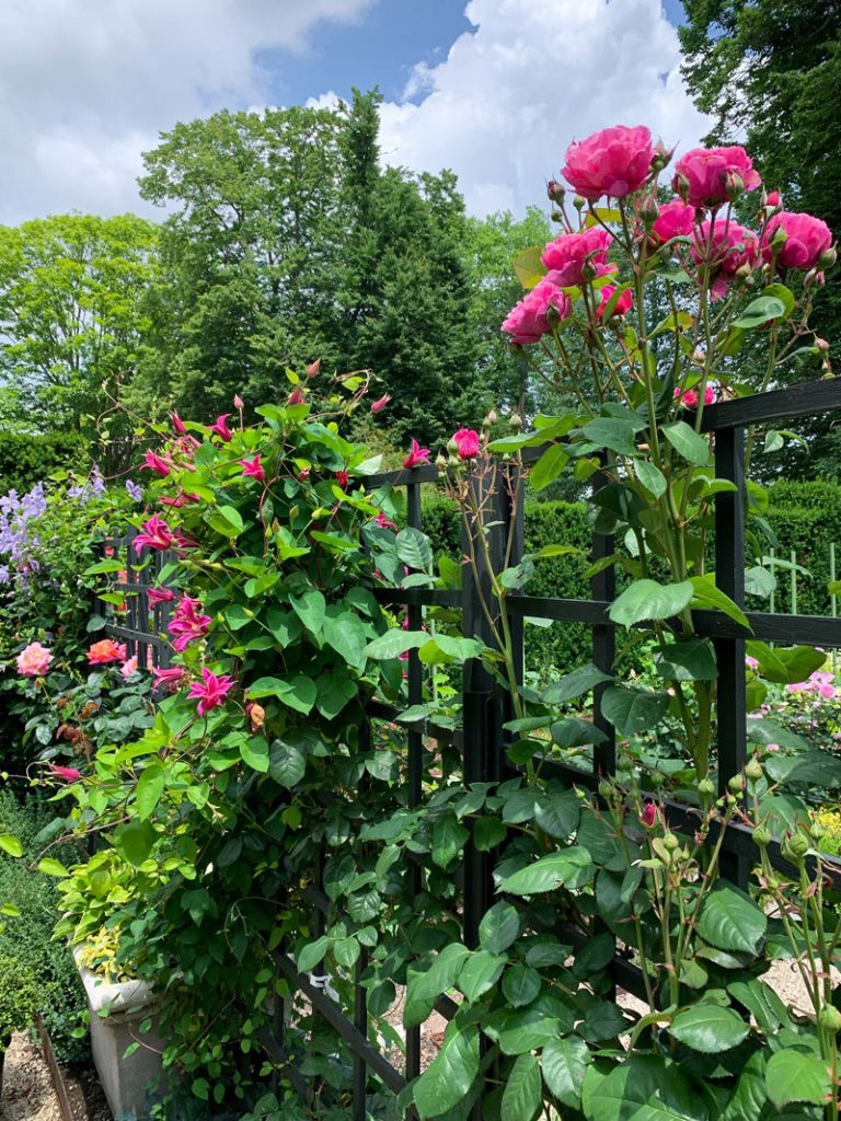 Designing with Roses | Private Newport