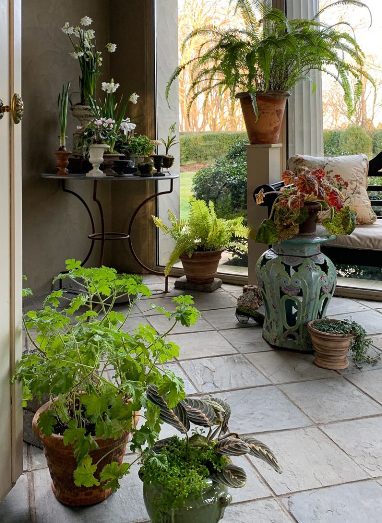 Inspiring Garden Design: Chic-ing Up Parterre’s Solarium | Private Newport