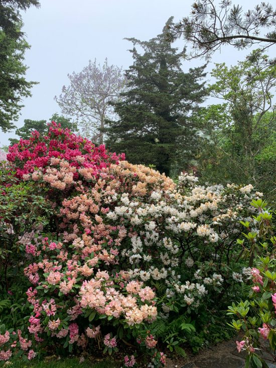Inspiring Garden Design: Sakonnet Garden’s Silver Fantasy | Private Newport