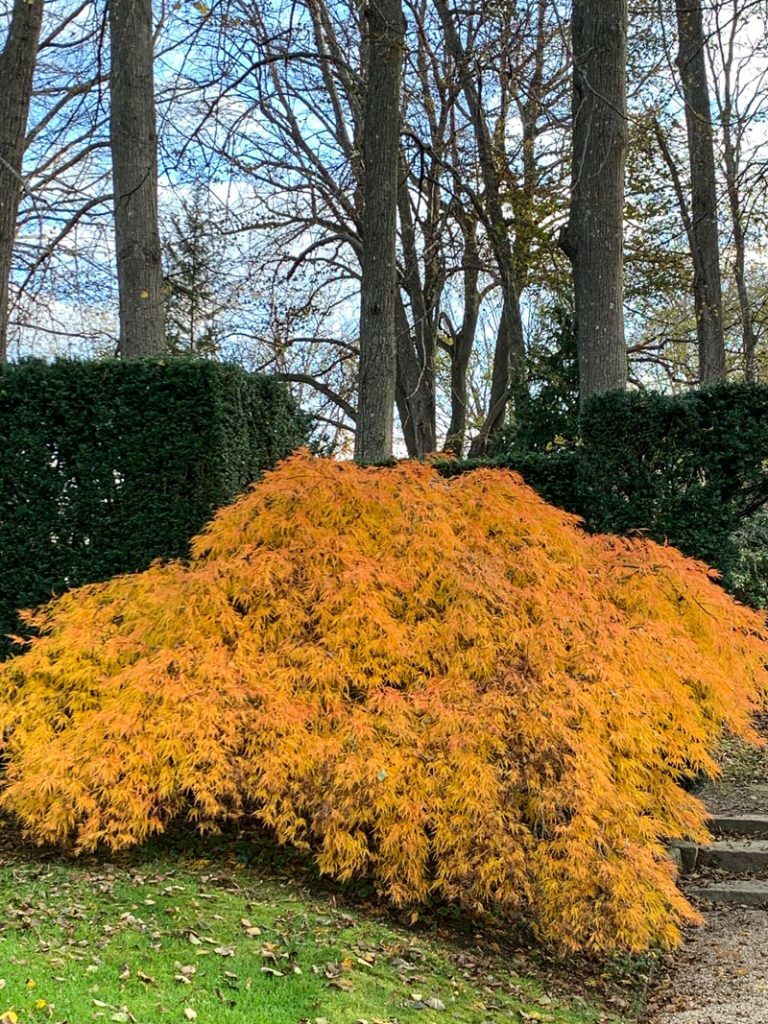 Embellishing Autumn in Newport | Private Newport