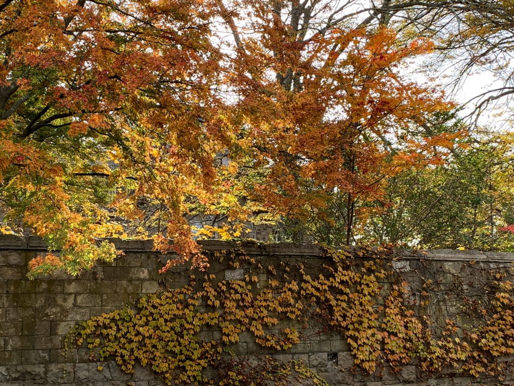 Embellishing Autumn in Newport | Private Newport