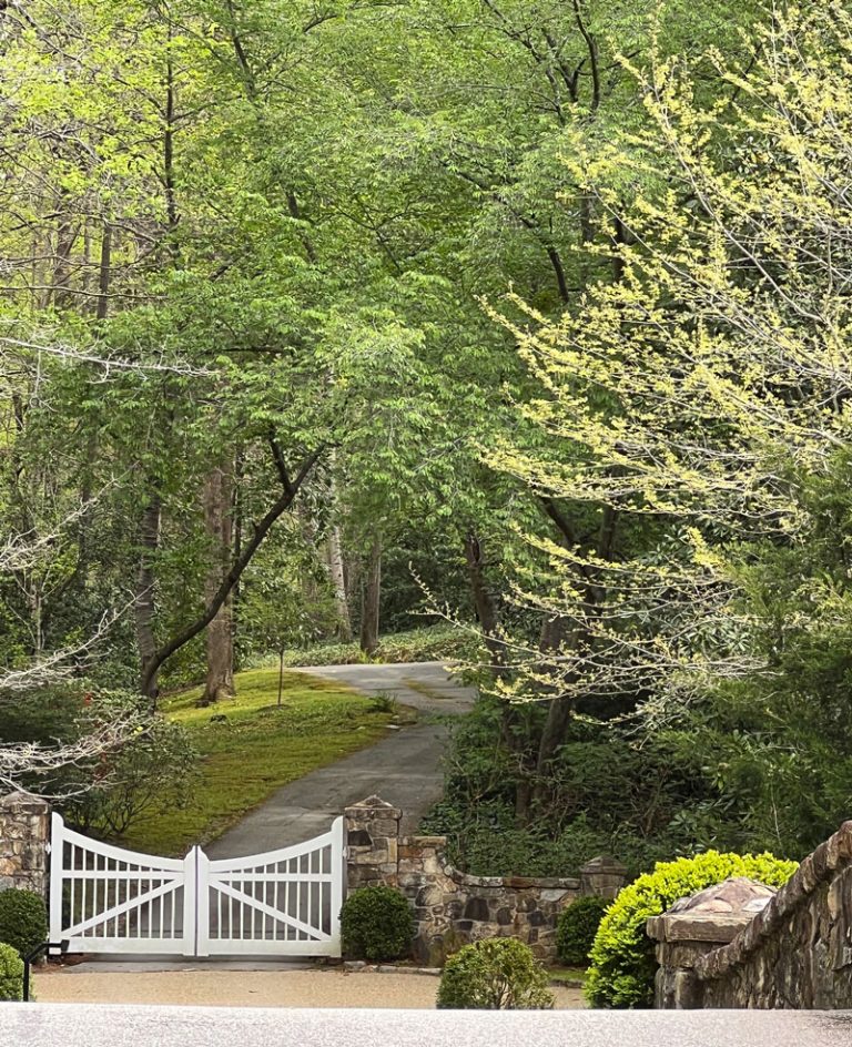 Azalea Time in Atlanta | Private Newport