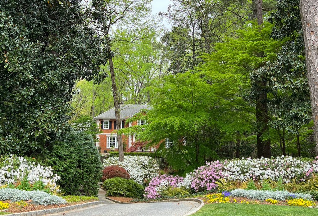 Azalea Time in Atlanta | Private Newport