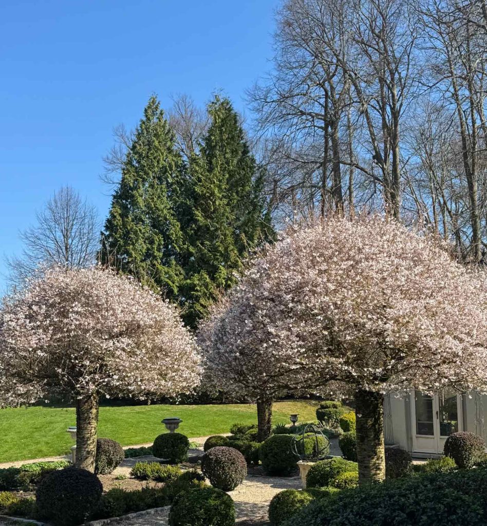 Parterre’s Spring Garden Statement | Private Newport