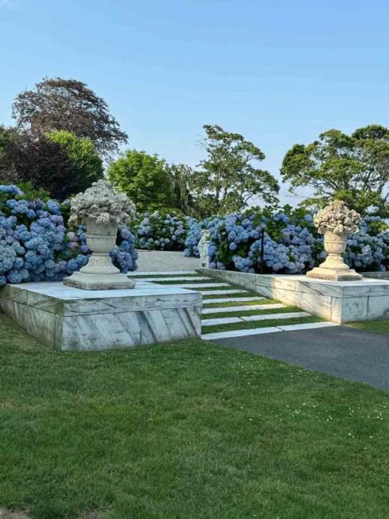 Designing with Hydrangeas | Private Newport